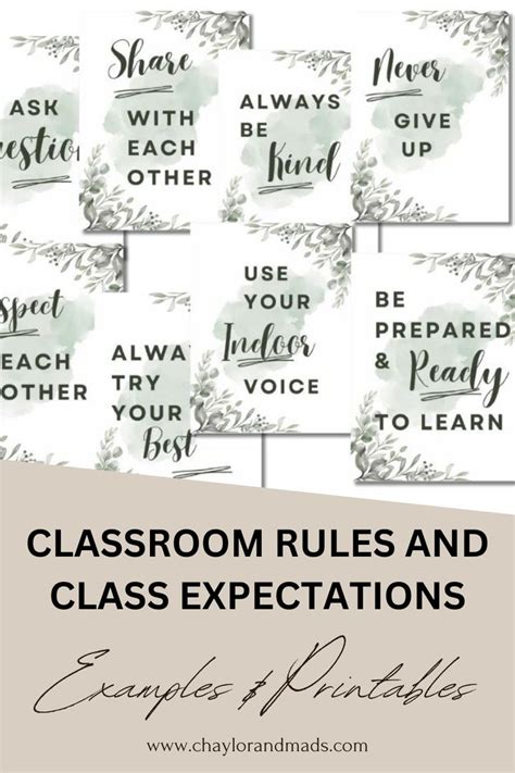 Classroom Rules And Class Expectations Examples