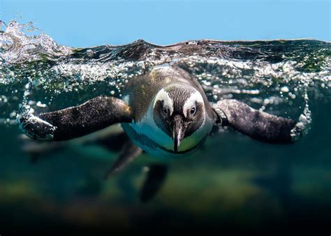 5 Linux Terminal Apps Better Than Your Default And Theyre All Free