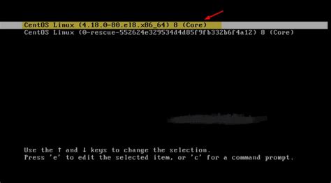 Cara Boot Server Centos 8 Rhel 8 Dalam Single User Mode Antmediahost