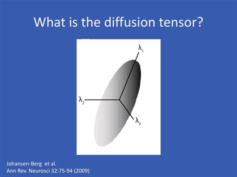 ppt diffusion tensor imaging powerpoint presentation free download