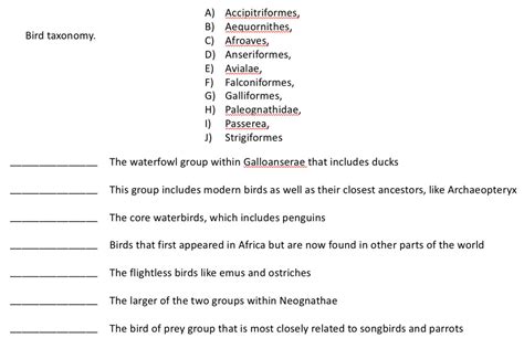 Bird Taxonomy Diagram Quizlet