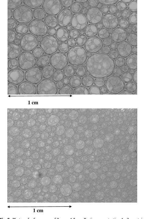 Figure 3 From Foaming Properties Of Protein Pectin Electrostatic Complexes And Foam Structure At