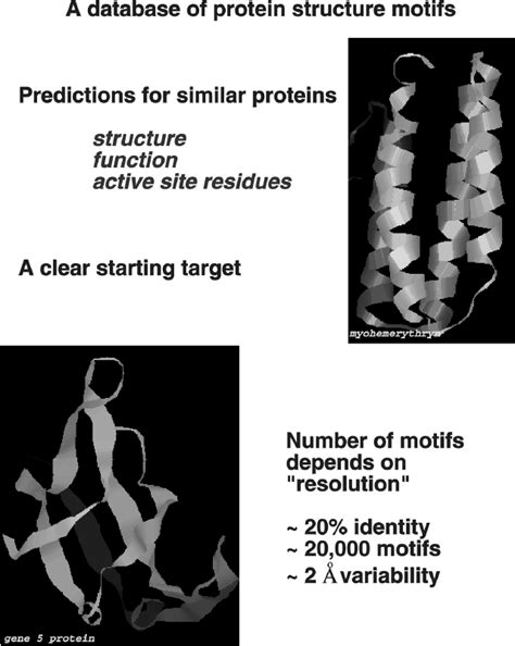 A Database Of Protein Structure Motifs Download Scientific Diagram