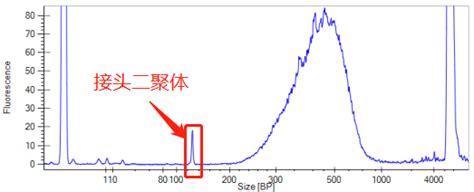 文库知多少——ngs文库质检解析片段