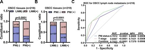 oscc patients with pni had a higher incidence of lymph node metastasis