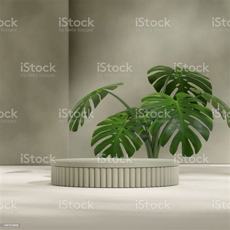 몬스테라 식물과 녹색 벽 3d 렌더링 모형 템플릿 사각형에 녹색 실린더 연단 0명에 대한 스톡 사진 및 기타 이미지 0명 3차원 형태 강단 Istock