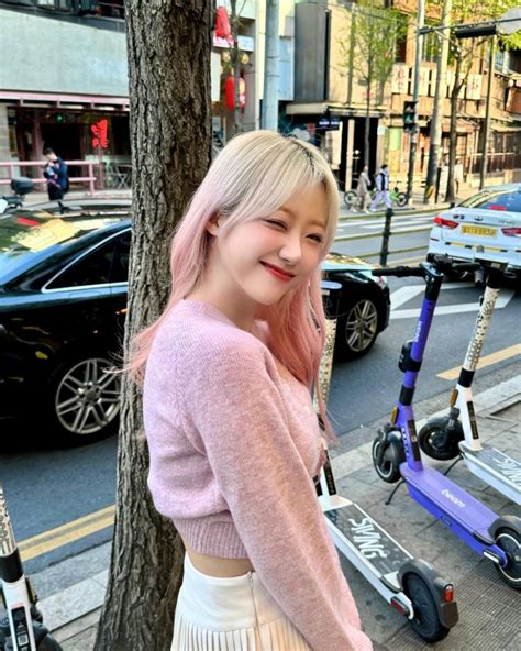 분홍색 스웨터 시그니처 지원 촬스의 이슈와 유머