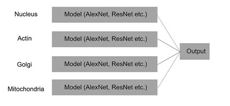 Combining Multiple Models Into One Output Part 1 2019 Fastai