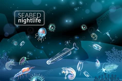 암초 해초 산호와 플랑크톤 캐릭터 만화 벡터 일러스트와 함께 해저 유흥 수중 장면 장식적인 덮개 포스터 배경 일러스트 및 사진 무료 다운로드 Pngtree