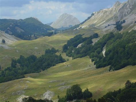 Hpp Concession Annulled In Unesco Site • Iia