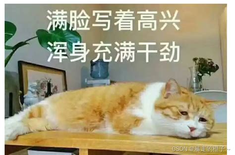 Mysql数据库基础知识 Csdn博客