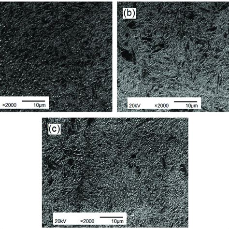 The Metallographic Structure Of Tested Steels After Tempering A Download Scientific Diagram
