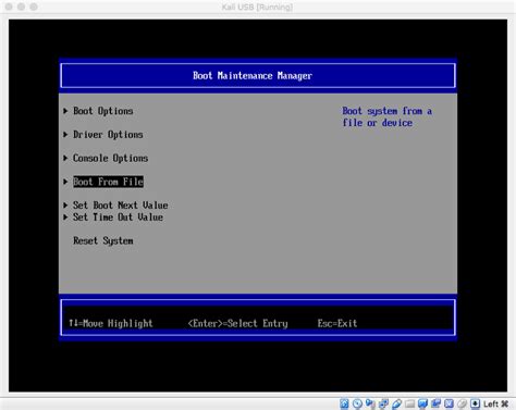 How To Install Kali On A USB Stick With Pure EFI Boot On A Mac And Lets Throw In Virtualization