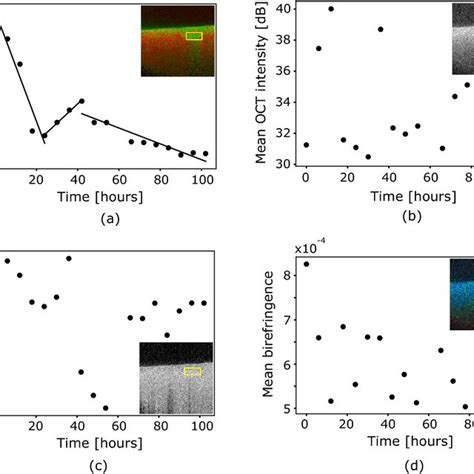 Time Course Plots Of The Mean A LIV B OCT Intensity C Download Scientific Diagram