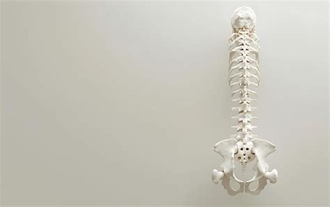 A Skeleton With A Skeleton On It Premium AI Generated Image