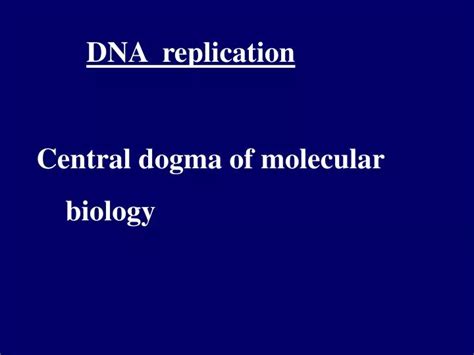 PPT DNA Replication PowerPoint Presentation Free Download ID