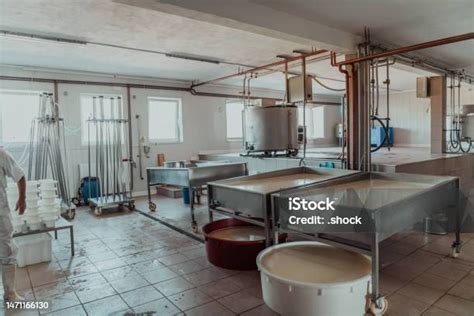 유제품 가공 및 다양한 종류의 치즈 생산을위한 현대 공장의 내부 0명에 대한 스톡 사진 및 기타 이미지 0명 공장 산업
