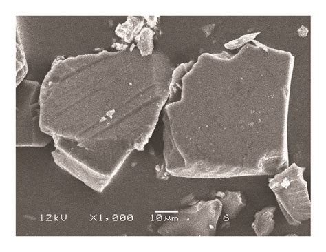 sem image of a sio2 b sio2 iminesa c sio2 iminesa pd ii d download scientific