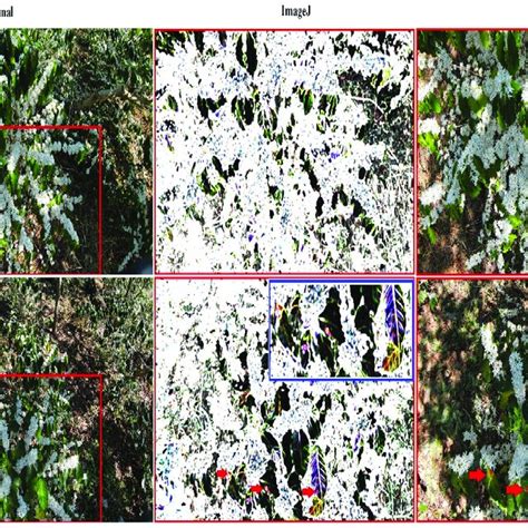 Evaluation Results Of The Developed Method On Uav Acquired Images Red