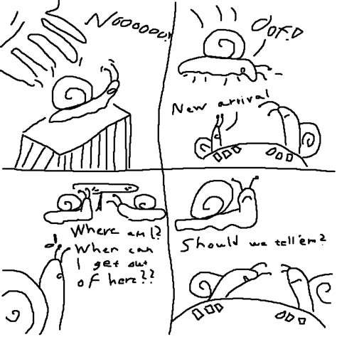 Watching My Girlfriend Hoard Bugs Rpalia