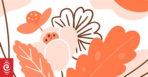 Patient Gets Pregnant After Gp Fails To Insert Contraceptive Rnz News