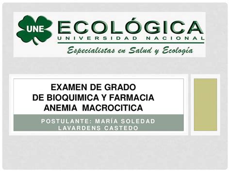 Anemia Macrocitica Yahir Udocz