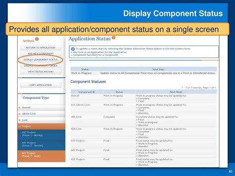 Preparing Submitting And Tracking Multi Project Applications Using Ppt