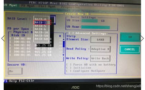 linux中磁盘阵列（软、硬raid）理解及服务器实战 dell e14s csdn博客