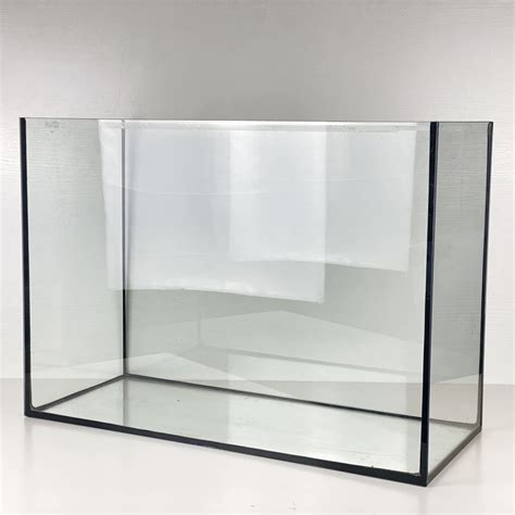 ТВАРИНИ РИБИ