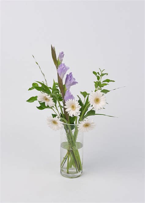 순백의 매혹 화이트 미니 거베라반단