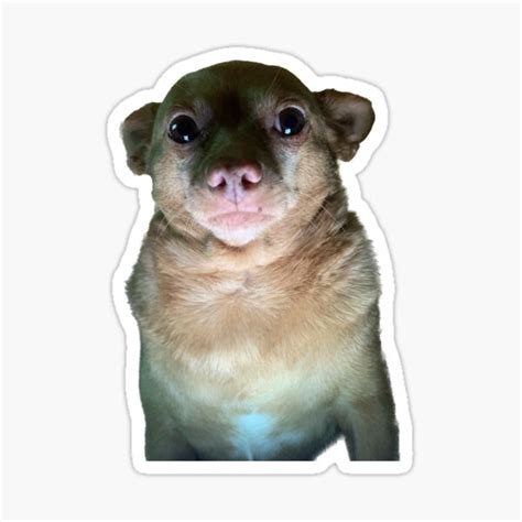 Spooky Mouse Sticker For Sale By Cheddariniii Redbubble