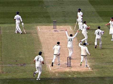 Ind Vs Aus Steve Smith React On Yashasvi Jaiswal Virat Kohli Mix Up