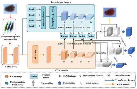 Segmentation Medicalimage Fuzzylogic Cnn Swintransformer Applied Sciences Mdpi