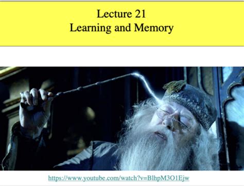 Psch 262 Part Iv Higher Order Function And Malfunction Flashcards