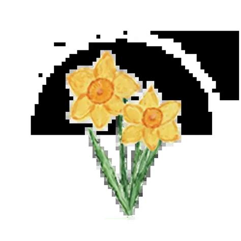 Dr Harish Nuthakki Md Fasn Frisco Tx Internist Nephrologist