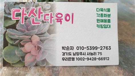 다산다육 나들이 Youtube