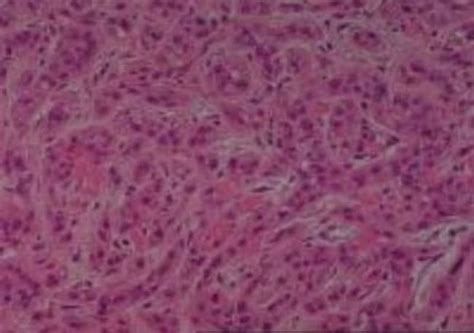 Novus Biologicals Human Skin Tissue Microarray Slide Human Skin Tissue