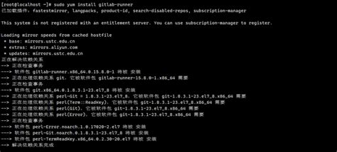 Gitlab配置流水线添加Runner 麟の随笔