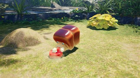 He Has A Treat R Breadbug