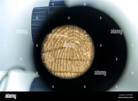 Csi Crime Scene Investigation Techniques And Procedures Training At