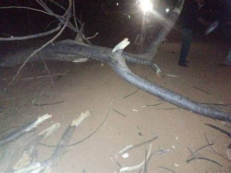 យុវតីពីរនាក់ជួបគ្រោះថ្នាក់ចរាចរណ៍បណ្ដាលឱ្យស្លាប់ម្នាក់