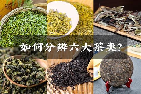 还不会辨别六大茶类？两个方面让你学会分辨！ 知乎