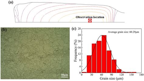 Microstructure Characterization Results In The Garlic Center A