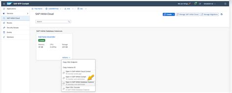 sap btp hana cloud how to avoid technical user l sap community
