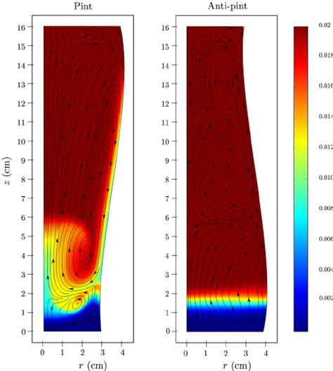 Color Online Numerical Simulations Of Bubbly Flows For The Pint And
