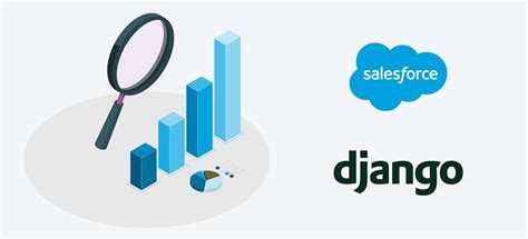 step by step guide integrating reports from salesforce api into a