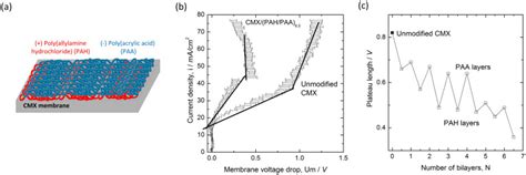 A Schematic Representation Of A Single LBL Double Layer On A Download Scientific Diagram
