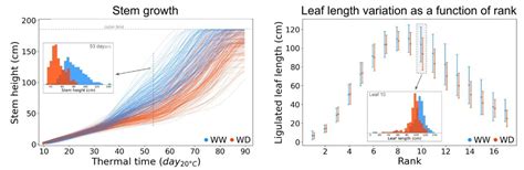 Tweeprint Time Phenotrack D An Automatic Processing Pipeline For High Throughput D T