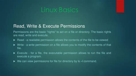 Read Write Execute At Michael Carandini Blog