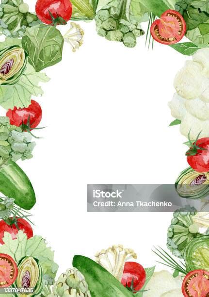 수채화 야채는 양배추 오이 토마토와 테두리를 프레임 에코 푸드 메뉴 인사말 카드 전단지 레시피를 위한 손으로 그린 채식 배너 농민 시장 채식 디자인 0명에 대한 스톡 벡터